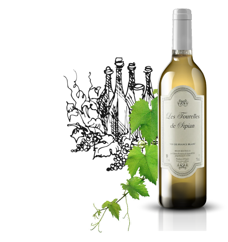 Château Rousseau de Sipian - Grand Cru du Médoc à Valeyrac